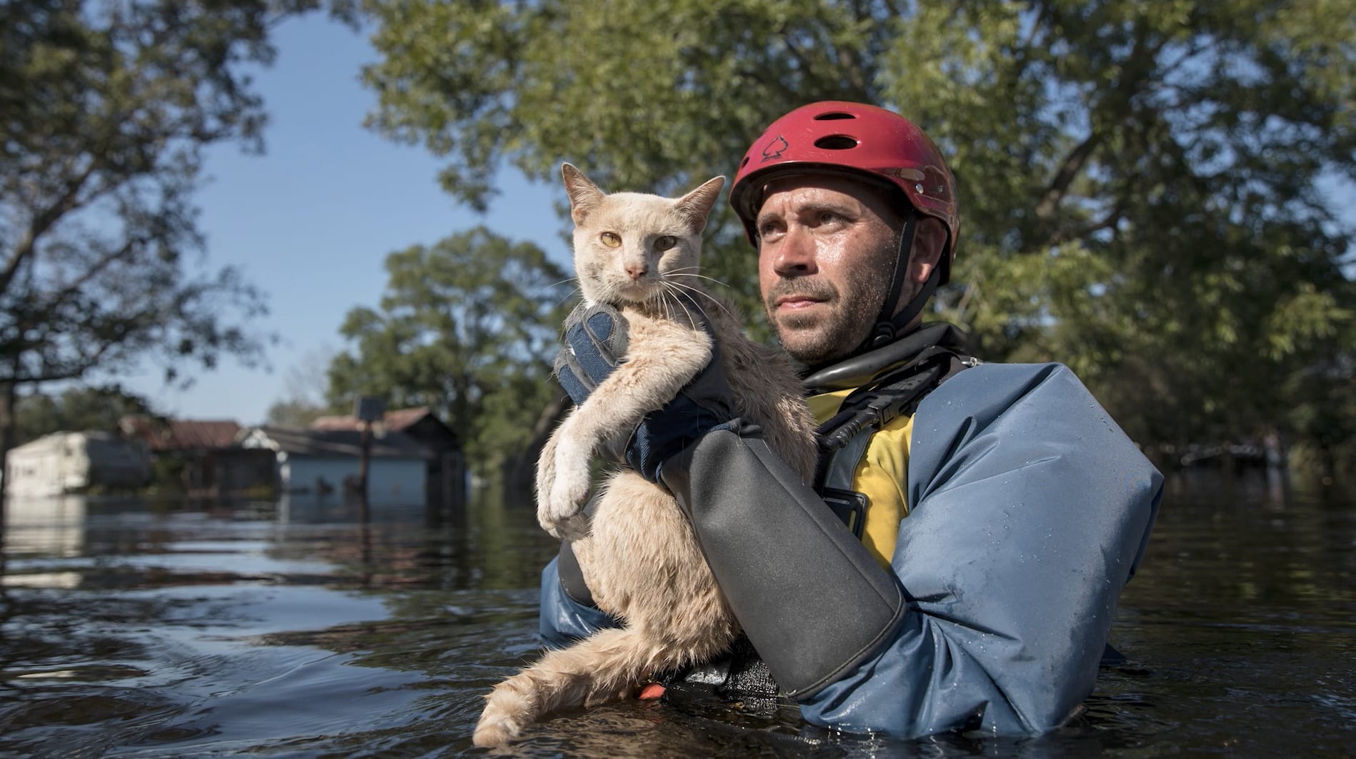 Coffee With America ASPCA Preparedness Month with Tim Rickey - Coffee ...