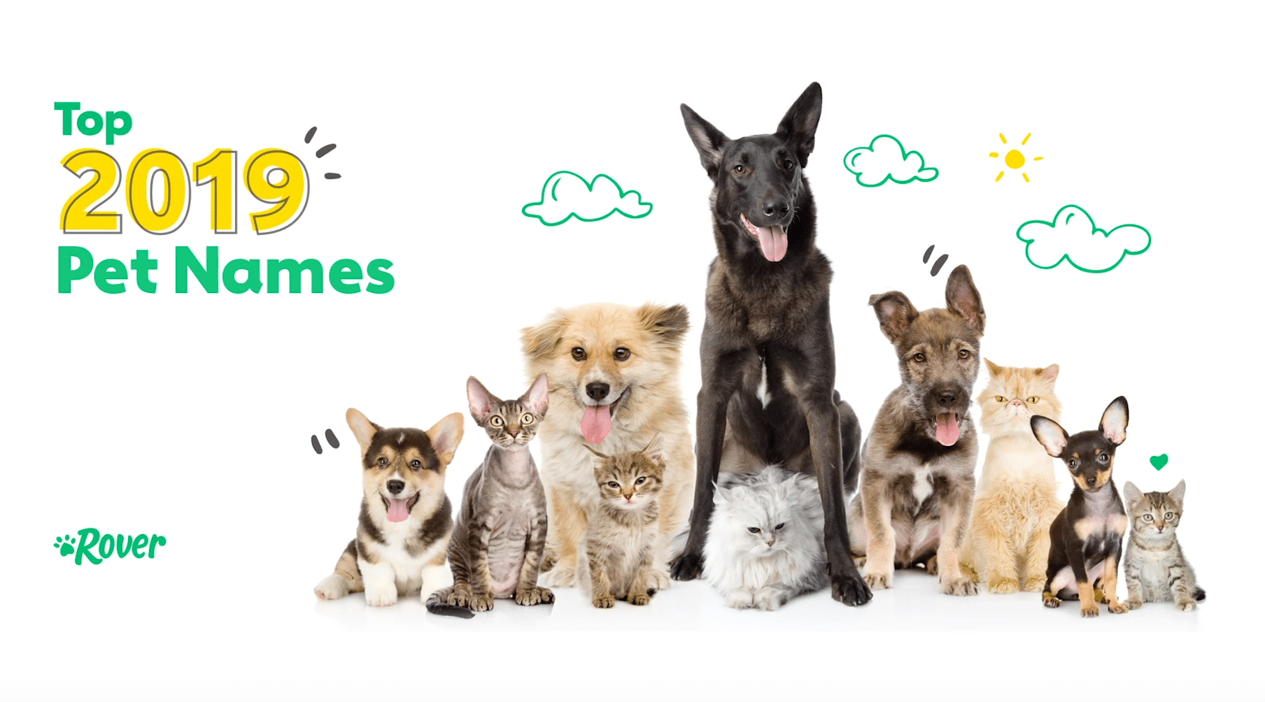 2019 Top Pet Names from Rover.com – Coffee With America